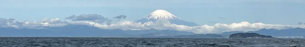 Contact David Harrison - Military Law Practice Japan